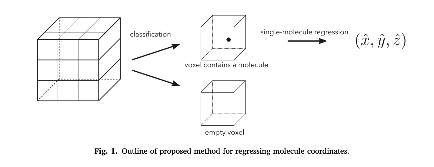Single Molecule Localization By Voxel Wise Regression Using Convolutional Neural Network